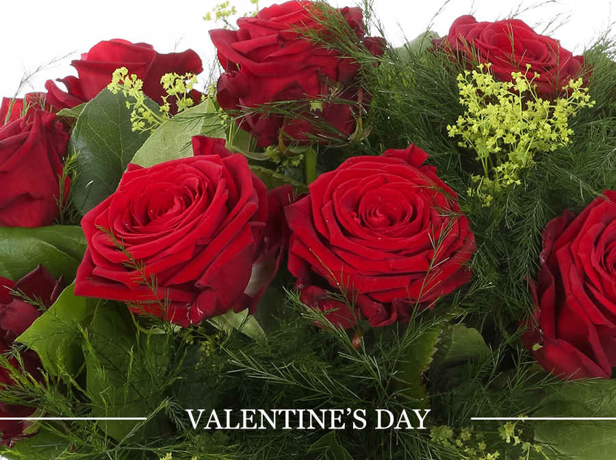 Enchanted Flowers | Macroom Florist | Flowers in Cork